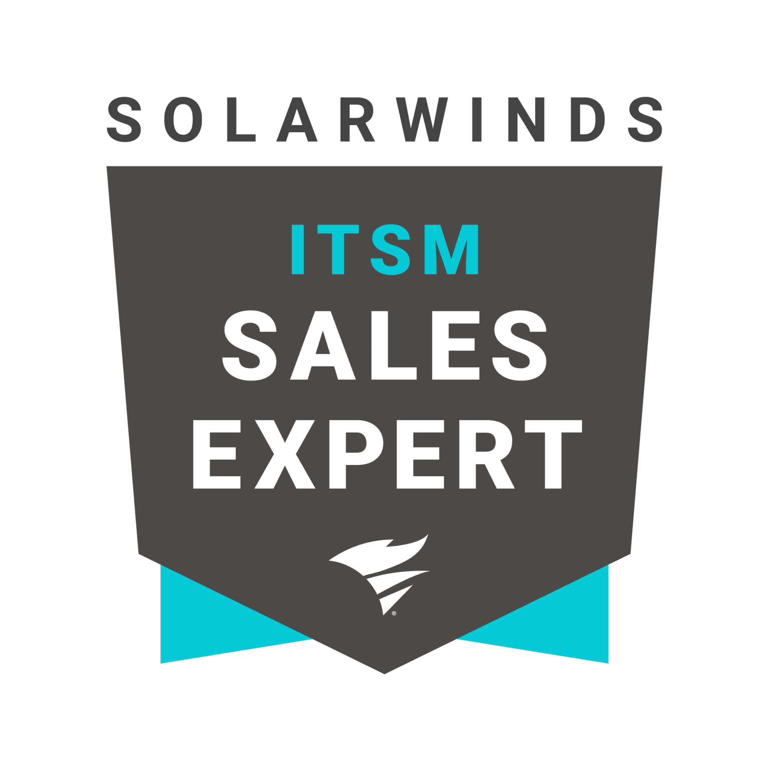 Comprehensive Network Monitoring with SolarWinds: What Can You Monitor ...